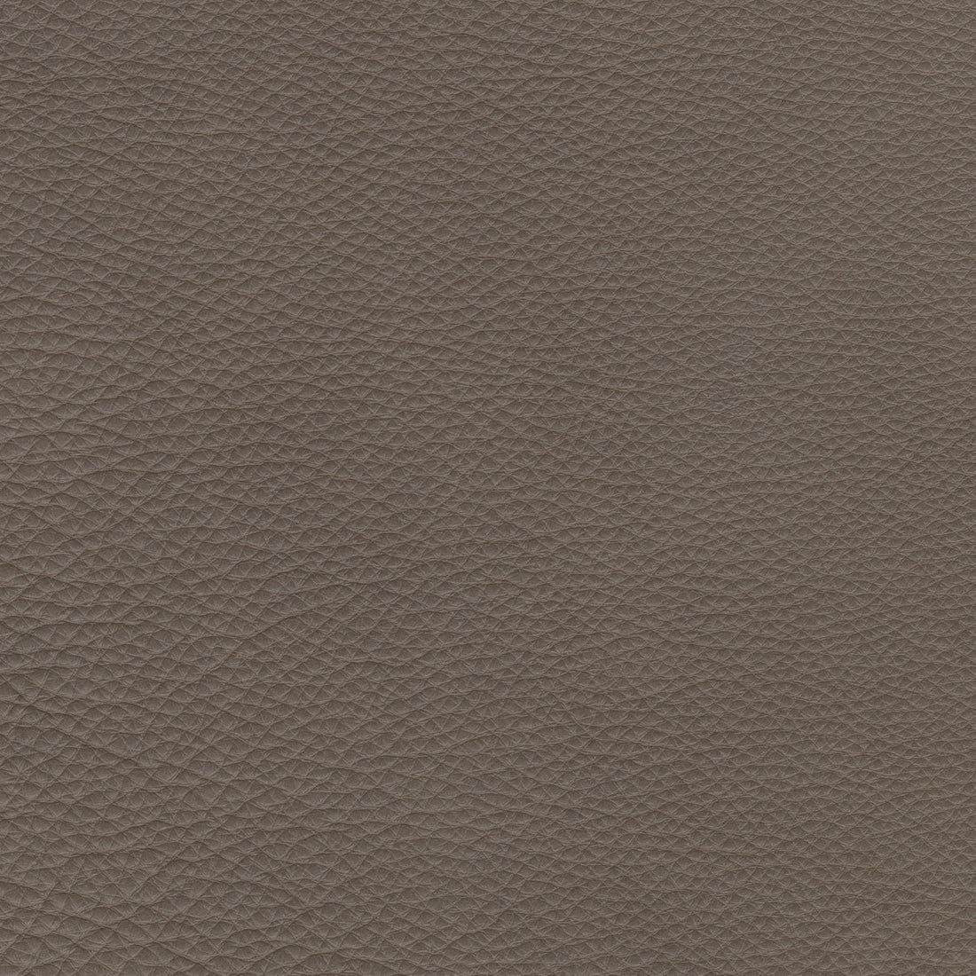 Antonio Turtle Dove Leather – Stickley