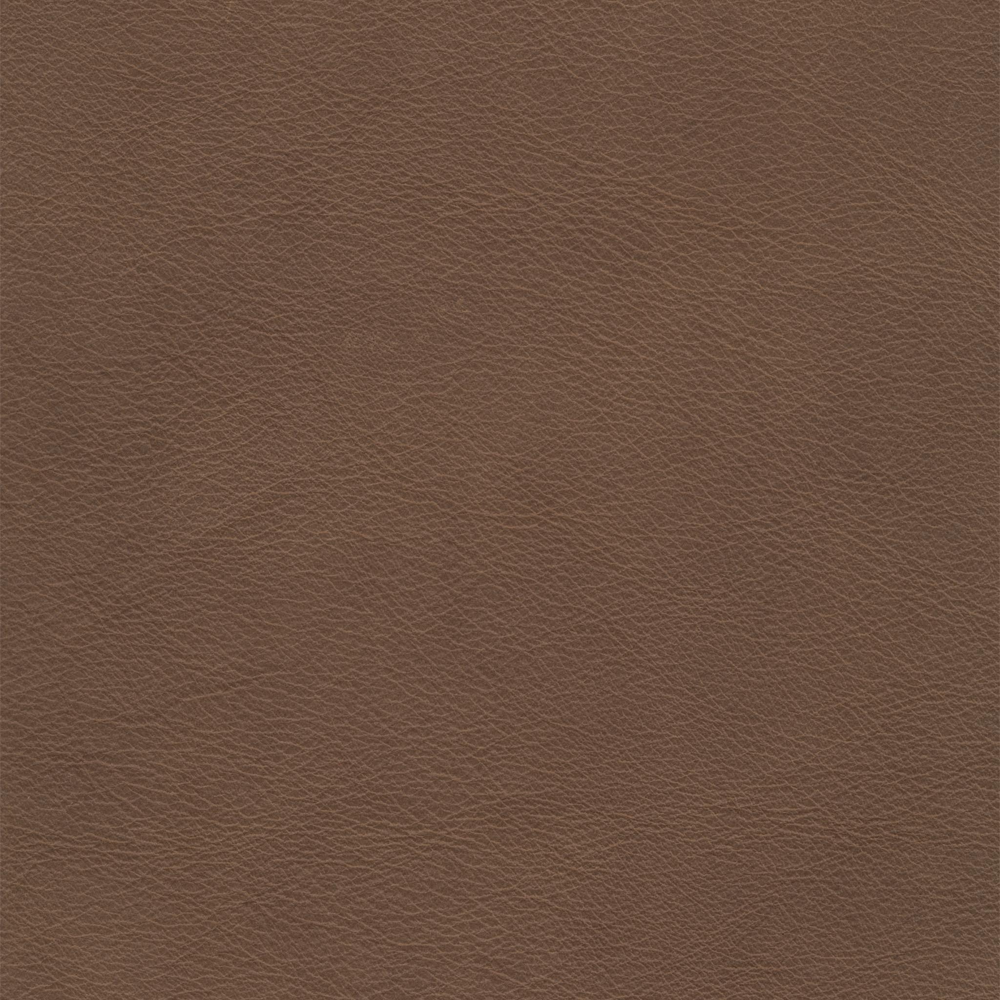 Defy Gravity Leather – Stickley