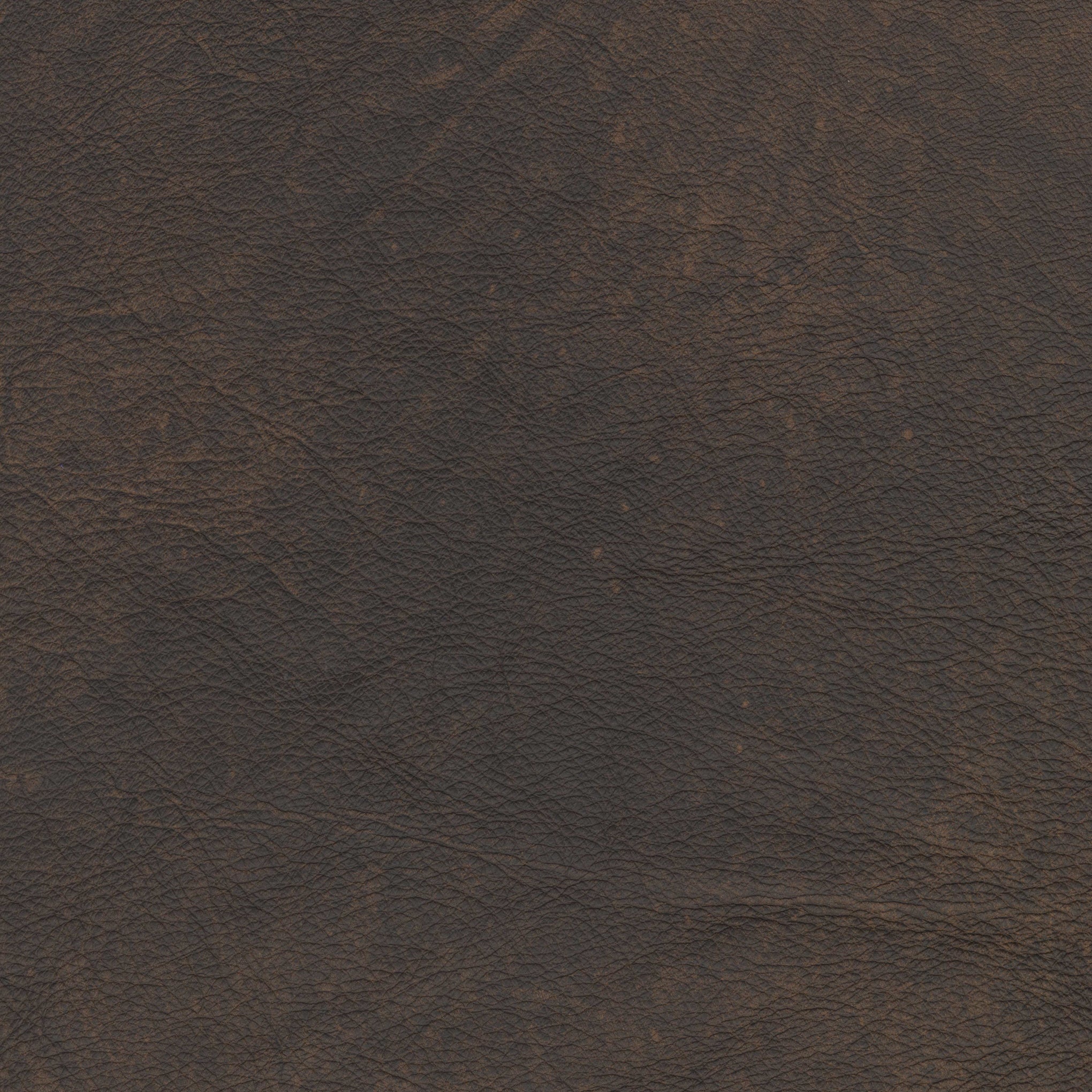 Chaps Draught Horse – Stickley