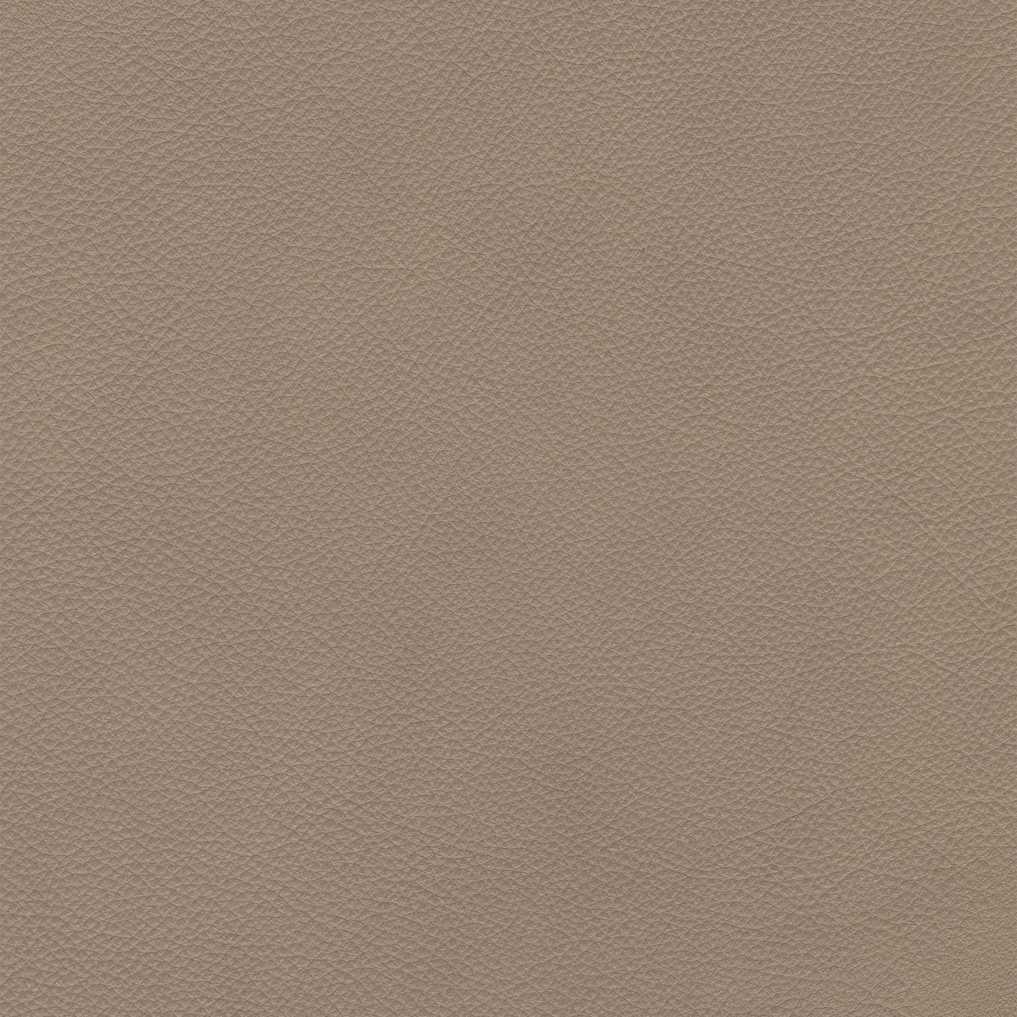 Weston Early Light Leather – Stickley Brand